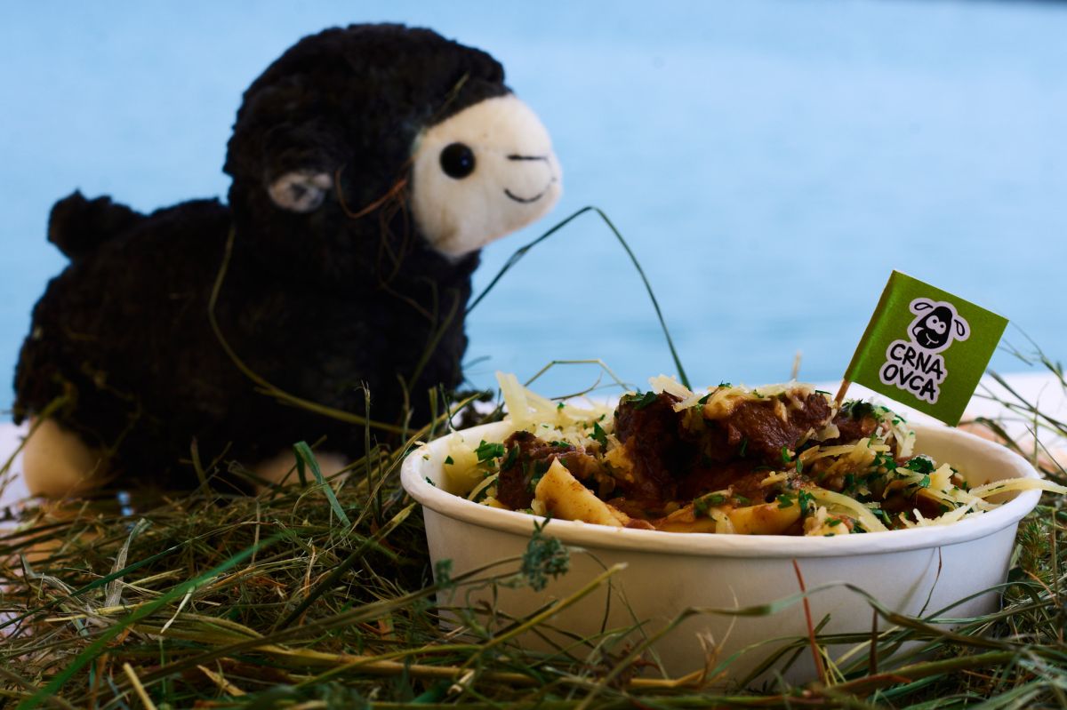 Crna ovca: festival koji je dokaz da je tradicija i dalje u trendu ...